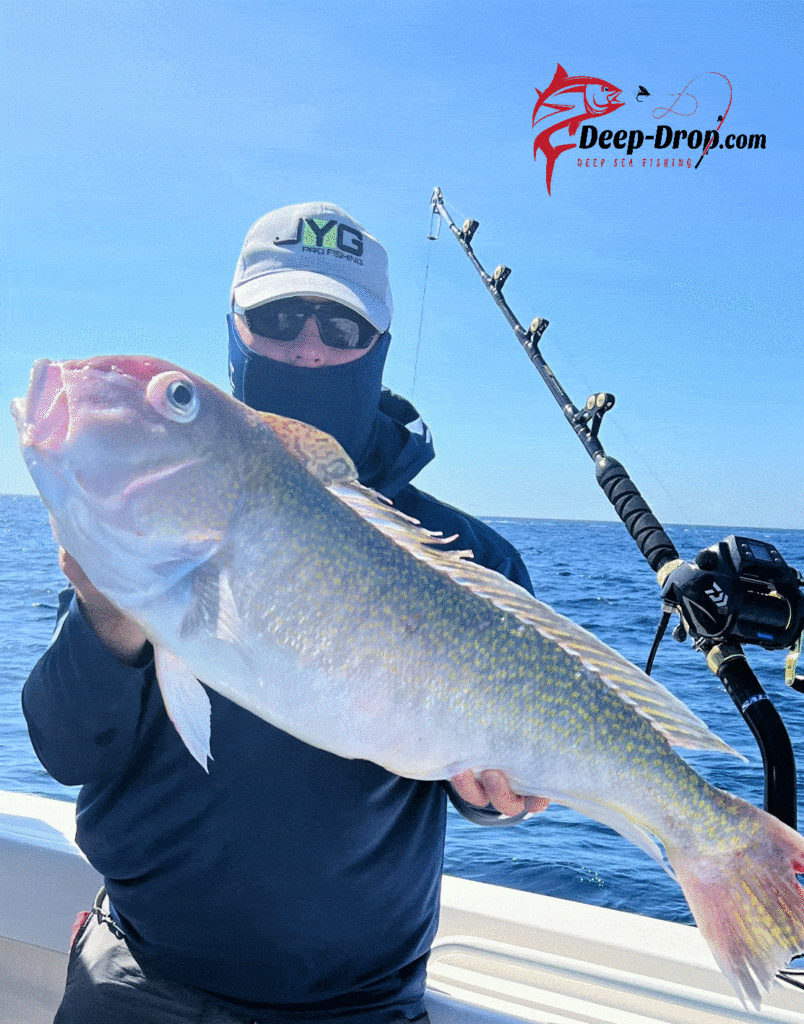 5 Glow Squid Hooks Rig - Florida Deep Drop Fishing